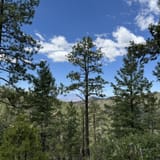Chamisa Trail, New Mexico - 1,503 Reviews, Map | AllTrails