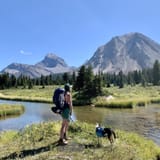 Skoki Loop Backpacking Trail, Alberta, Canada - 354 Reviews, Map ...