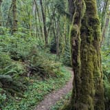 Maple and Wildwood Loop, Oregon - 955 Reviews, Map | AllTrails