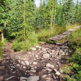 Angel Rocks Trail, Alaska - 1,003 Reviews, Map | AllTrails
