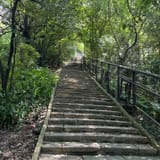 Nangang Mountain Main Ridge Trail, Taipei City, Taiwan - 341 Reviews ...