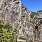 Nelson Rocks Via Ferrata, West Virginia - 147 Reviews, Map | AllTrails