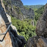 Nelson Rocks Via Ferrata, West Virginia - 147 Reviews, Map | AllTrails