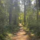 Trappist Abbey Guadalupe Loop, Oregon - 1,462 Reviews, Map | AllTrails