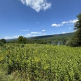 Leaser Lake Trail, Pennsylvania - 666 Reviews, Map | AllTrails