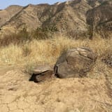 Homestead to Blue Ridge Loop, California - 3,246 Reviews, Map | AllTrails