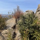 Homestead to Blue Ridge Loop, California - 3,132 Reviews, Map | AllTrails