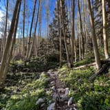 Nambe Lake Trail, New Mexico - 3,059 Reviews, Map | AllTrails