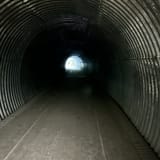 Poe Paddy Tunnel Loop, Pennsylvania - 66 Reviews, Map | AllTrails