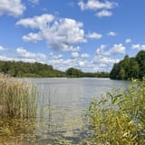 Leaser Lake Trail, Pennsylvania - 666 Reviews, Map | AllTrails