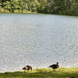 Leaser Lake Trail, Pennsylvania - 666 Reviews, Map | AllTrails