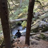Lindeman Lake Trail, British Columbia, Canada - 2,314 Reviews, Map ...