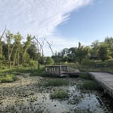 Lake Lenexa, Kansas - 664 Reviews, Map | AllTrails