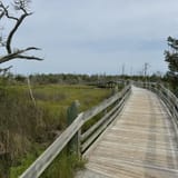 Cedar Point Tideland Trail, North Carolina - 773 Reviews, Map | AllTrails