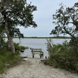 Cedar Point Tideland Trail, North Carolina - 773 Reviews, Map | AllTrails