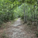 Cedar Point Tideland Trail, North Carolina - 773 Reviews, Map | AllTrails