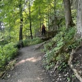 Indian Ladder Trail, New York - 1,028 Reviews, Map | AllTrails