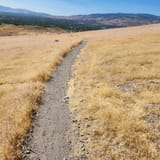 Keystone Canyon Trail, Nevada - 1,207 Reviews, Map | AllTrails