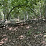 Assunpink Wildlife Management Area Trails, New Jersey - 205 Reviews ...