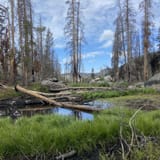 Lake Margaret Trail, California - 1,082 Reviews, Map | AllTrails