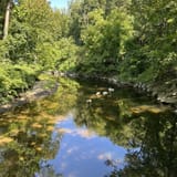 Southern Loop via Western Ridge Trail, Rock Creek, Valley Trail ...