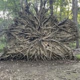 Suwanee Greenway to Ivy Creek Greenway, Georgia - 1,645 Reviews, Map ...