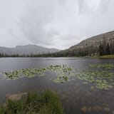 Ruth Lake Trail, Utah - 495 Reviews, Map | AllTrails