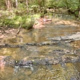 Persimmon Ridge Park Loop, Tennessee - 546 Reviews, Map | AllTrails