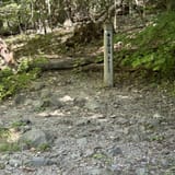 Lewis Spring Falls Trail, Virginia - 1,565 Reviews, Map | AllTrails