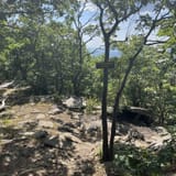 Huckleberry Point Trail, New York - 1,877 Reviews, Map | AllTrails