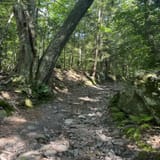 Huckleberry Point Trail, New York - 1,877 Reviews, Map | AllTrails