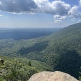Huckleberry Point Trail, New York - 1,877 Reviews, Map | AllTrails