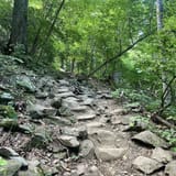 Humpback Rocks Recreation Area Trail, Virginia - 2,726 Reviews, Map ...