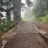 Skyline Loop, Washington - 17,308 Reviews, Map | AllTrails