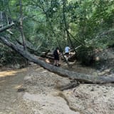 Red Bluff, Mississippi - 446 Reviews, Map | AllTrails