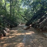 Red Bluff, Mississippi - 447 Reviews, Map | AllTrails