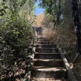 Murphy Ranch Trail, California - 4,146 Reviews, Map | AllTrails