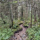 Killington Peak via Bucklin Trail, Vermont - 1,981 Reviews, Map | AllTrails