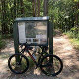 Nottely Reservoir Trail, Georgia - 1,091 Reviews, Map | AllTrails