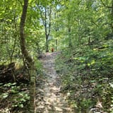 Kings Chair Loop, Alabama - 2,359 Reviews, Map | AllTrails
