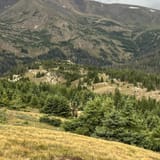 Mount Chapin, Chiquita, and Ypsilon Mountain via Chapin Pass Trail ...
