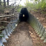 Severance Mountain, New York - 1,091 Reviews, Map | AllTrails