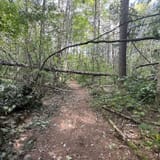 Severance Mountain, New York - 1,091 Reviews, Map | AllTrails