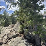 Independence Mountain Trail, Colorado - 5,646 Reviews, Map | AllTrails