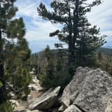 Chickadee Ridge via Tahoe Rim Trail, Nevada - 2,860 Reviews, Map ...