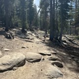 Chickadee Ridge via Tahoe Rim Trail, Nevada - 2,860 Reviews, Map ...