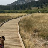 Chickadee Ridge via Tahoe Rim Trail, Nevada - 2,860 Reviews, Map ...