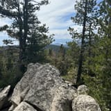 Chickadee Ridge via Tahoe Rim Trail, Nevada - 2,860 Reviews, Map ...