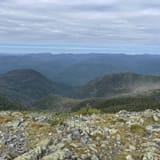 Mont Albert Loop, Quebec, Canada - 1,086 Reviews, Map | AllTrails