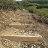 Little O'Malley Peak Trail, Alaska - 1,751 Reviews, Map | AllTrails